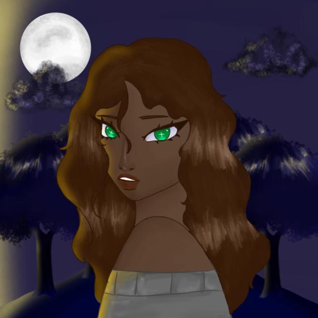 night - skies - ibisPaint