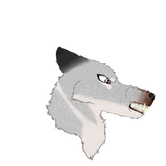 Growling wolf ♡ - ibisPaint