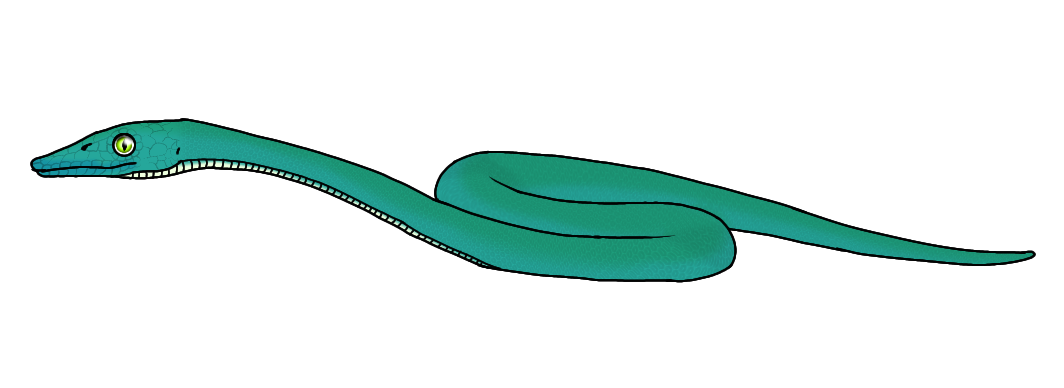 Cyan Nectar Snake render - ibisPaint