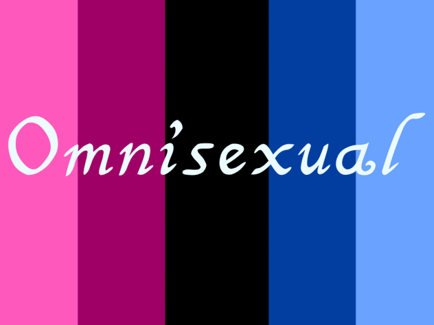 Omnisexual Flag - ibisPaint
