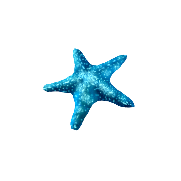 starfish - ibisPaint