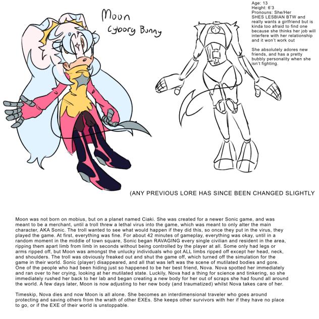 exe oc thing - ibisPaint