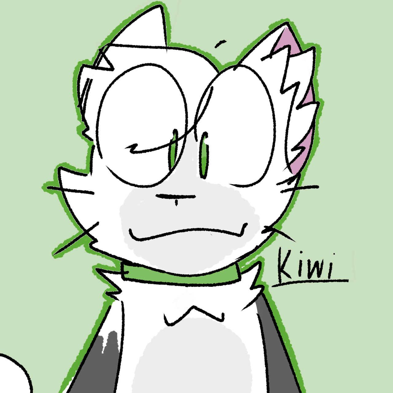 Kiwi - ibisPaint