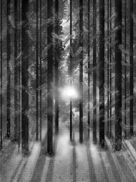 Sunset in the forest - ibisPaint