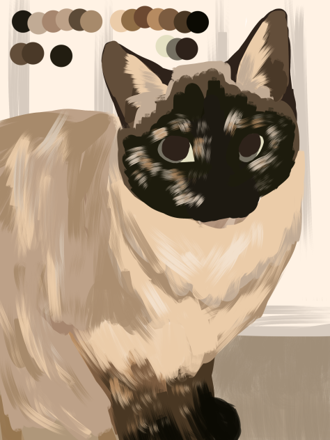 My Cat - ibisPaint