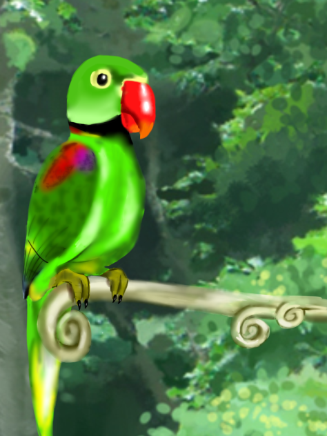 realistic parrot - ibisPaint