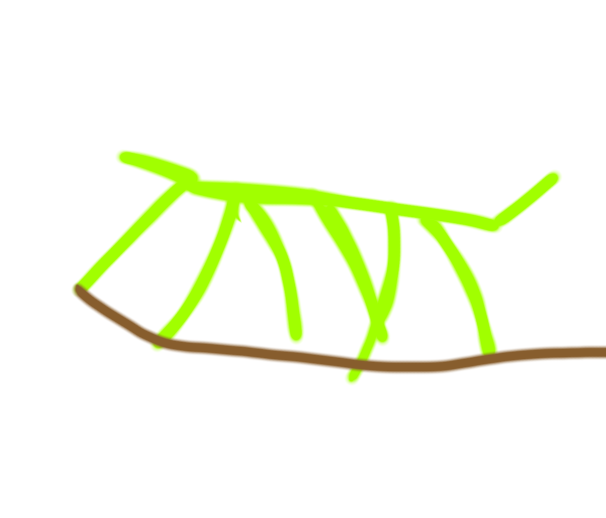 get stick bugged lol - ibisPaint