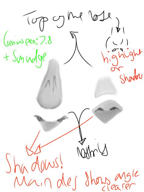 Nose study ^•^ - ibisPaint