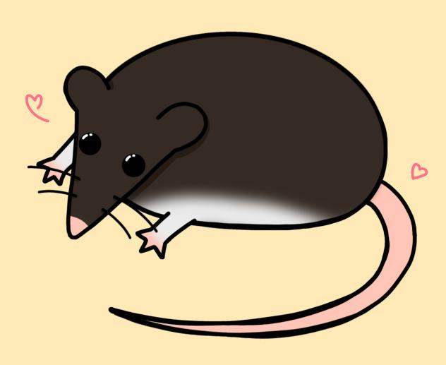 my rat!! - ibisPaint