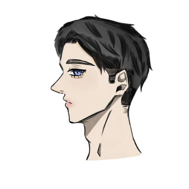 profile - ibisPaint