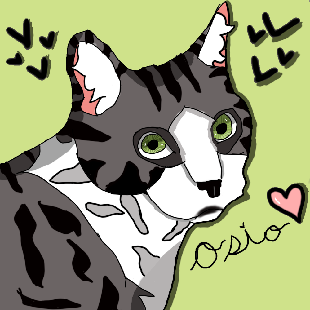 Cat - ibisPaint