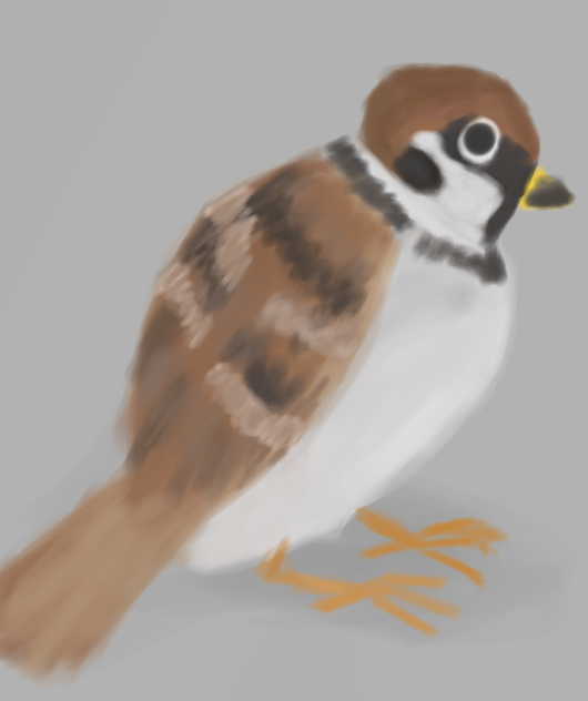 bird - ibisPaint