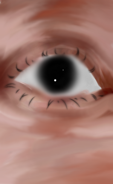my doe eyes art - ibisPaint
