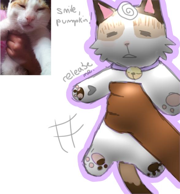 kitty - ibisPaint