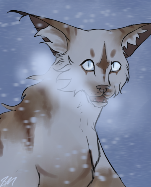 + WC oc + - ibisPaint