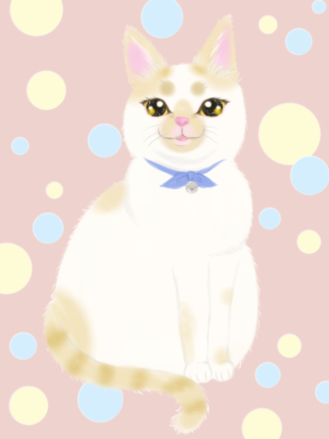 Cat - ibisPaint