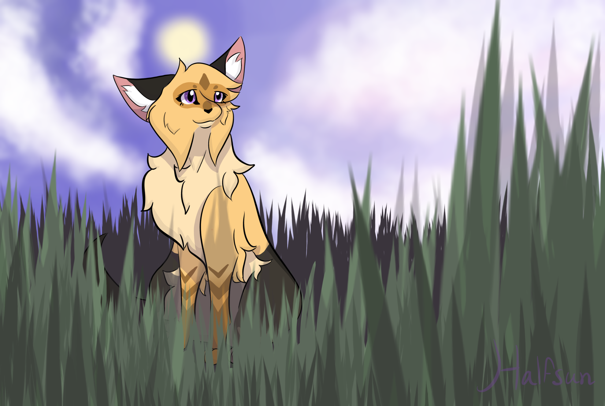 Halfsun for Wolfey - ibisPaint