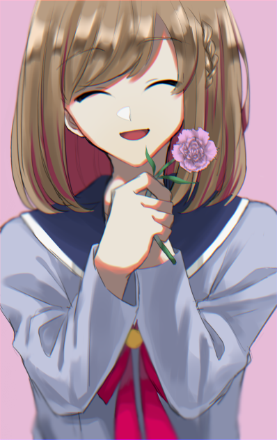Carnations - ibisPaint