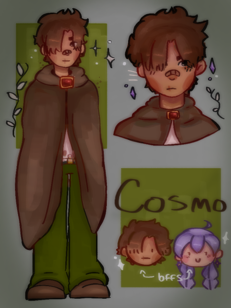 Cosmo 🦨🪵 - ibisPaint