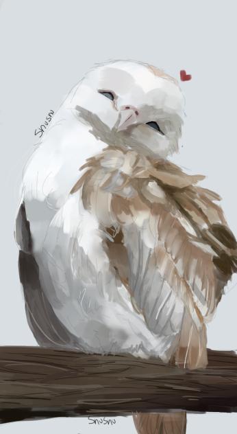Barn owl number two - ibisPaint