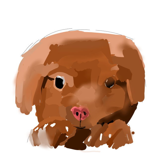 Puppy - ibisPaint