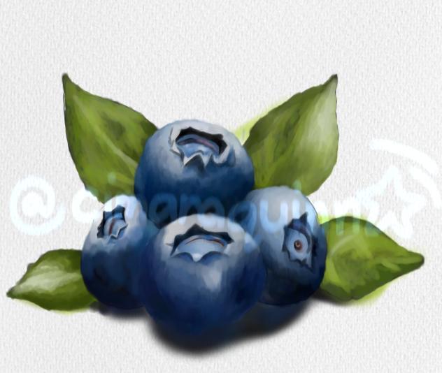 Blueberry Realism - ibisPaint