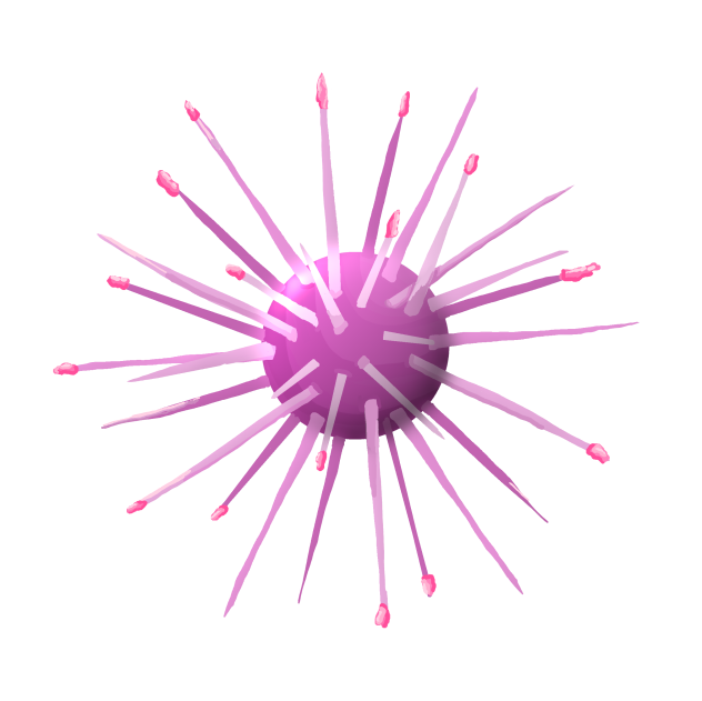 Poison Sea Urchin - ibisPaint