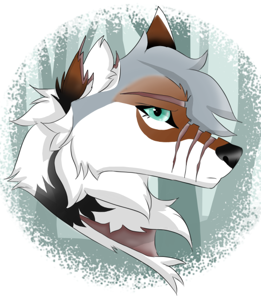 Ravage portrait - ibisPaint