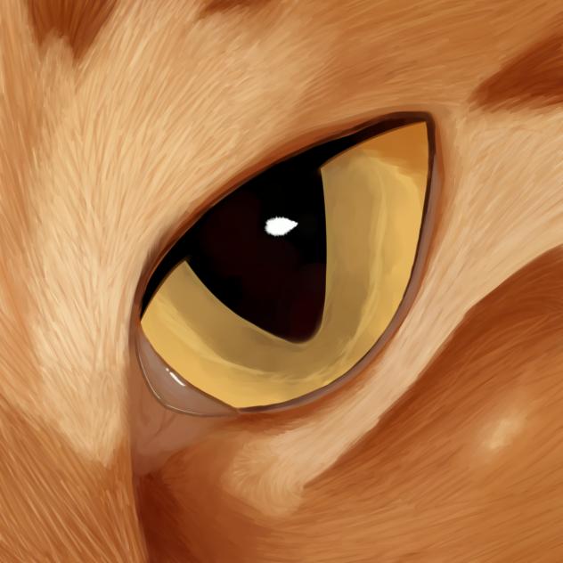 cat eye realism attempt 1 - ibisPaint