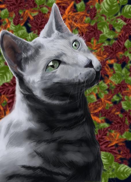 A gray cat with different backround - ibisPaint