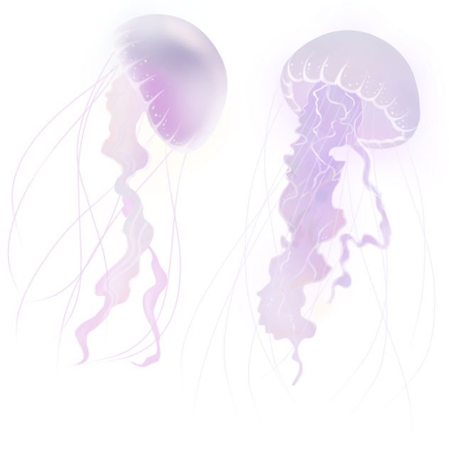 Jellyfish - ibisPaint