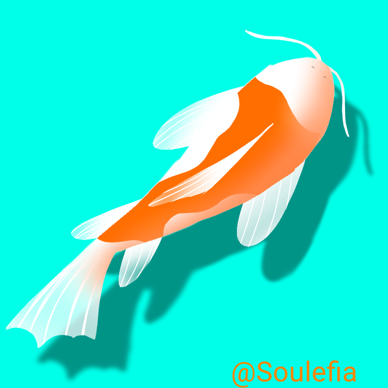 koi fish - ibisPaint