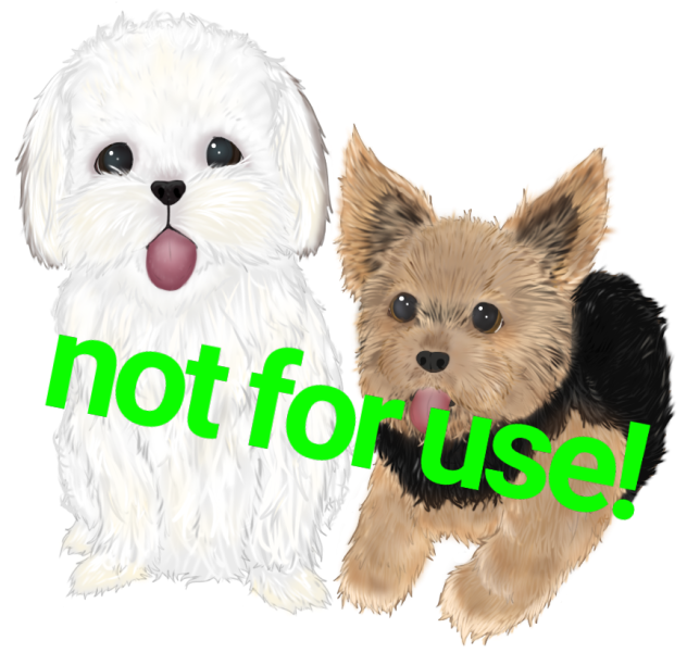 Pet commission 3 - ibisPaint