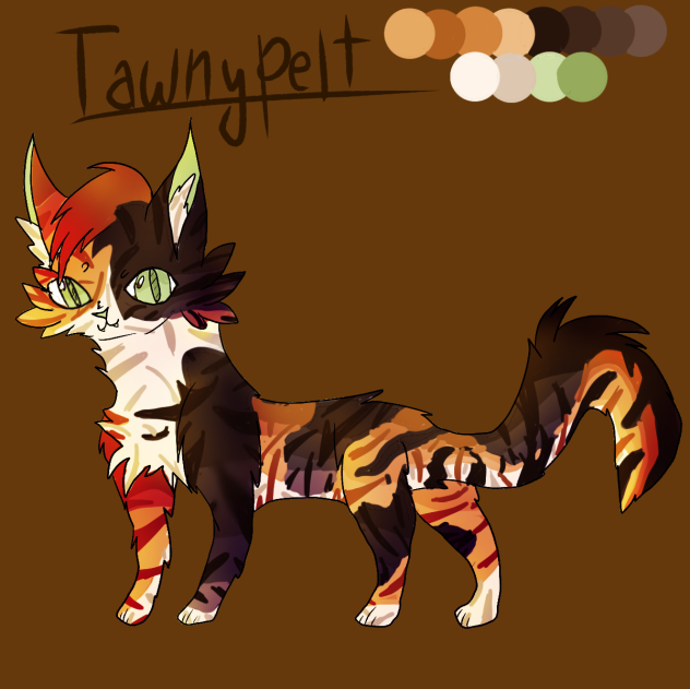 Number 8, Tawnypelt - ibisPaint