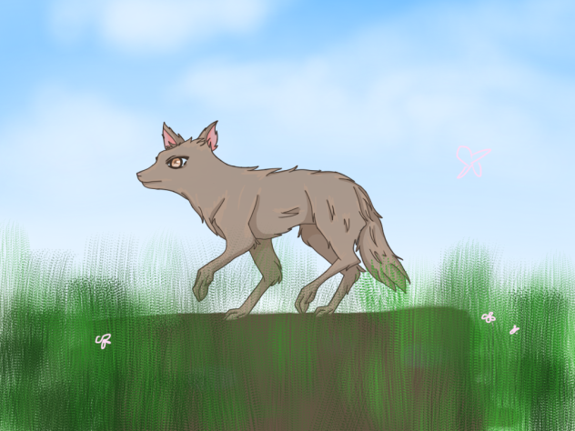 wild side - ibisPaint