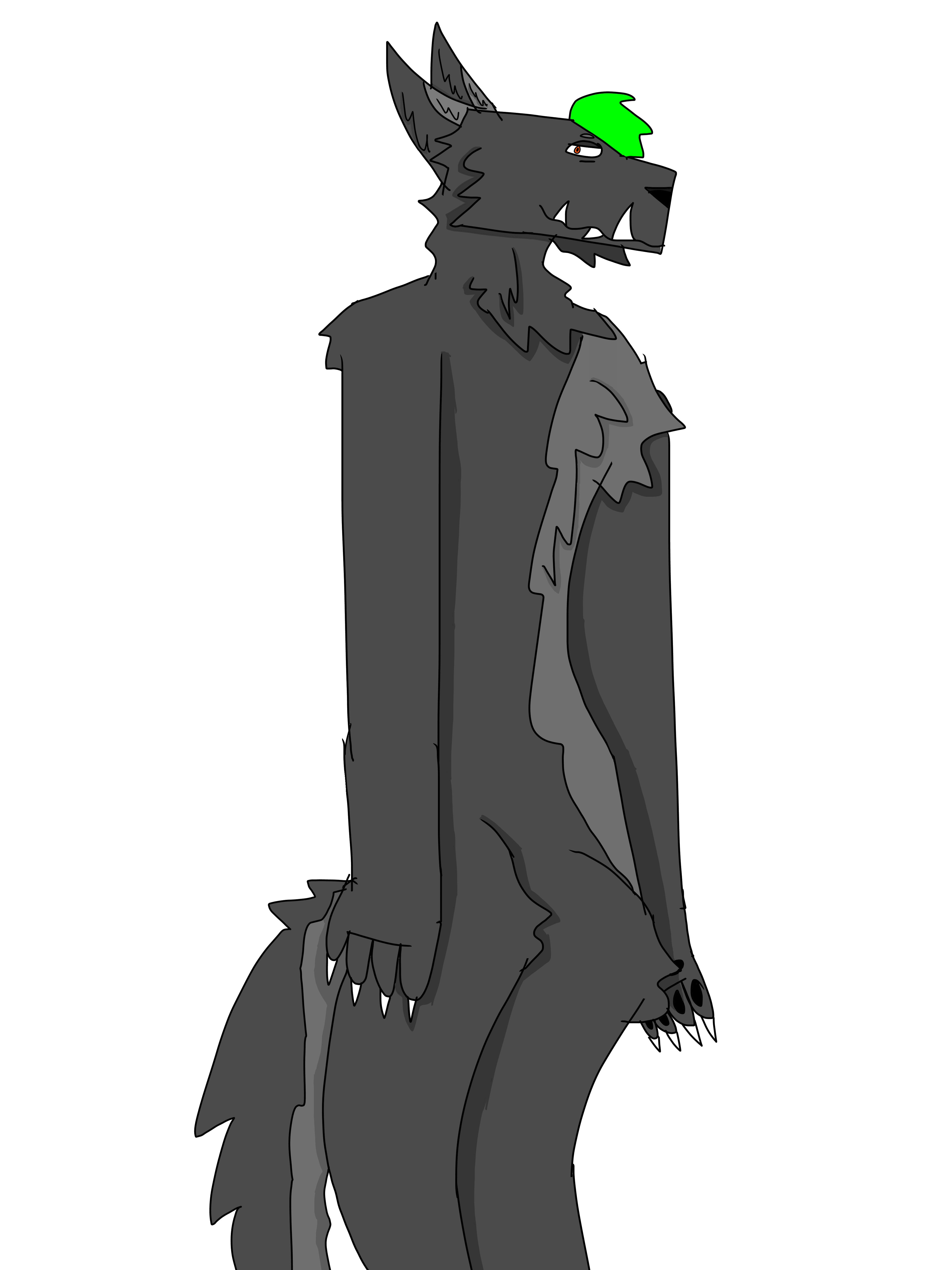 Edgy wolf again - ibisPaint