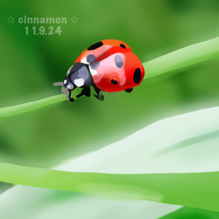 ladybug - ibisPaint