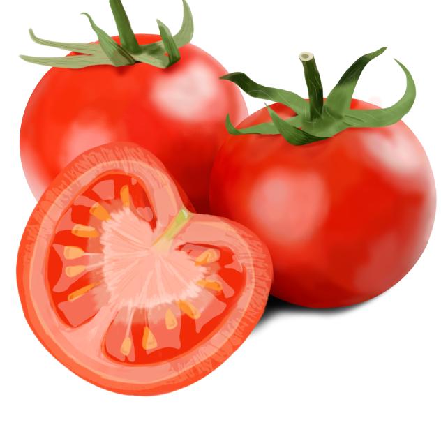 tomato - ibisPaint