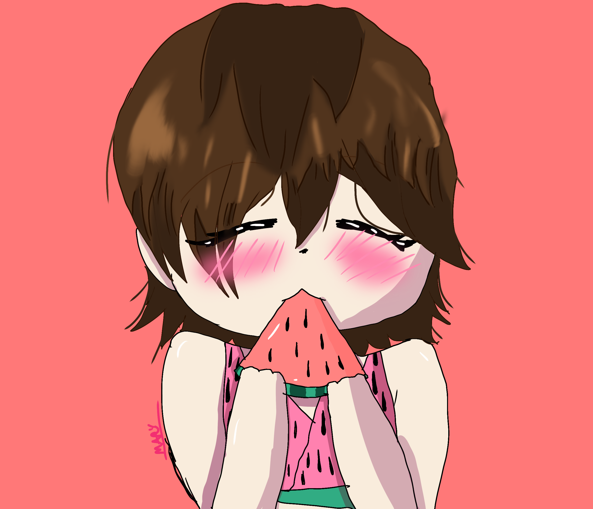 Watermelon - ibisPaint
