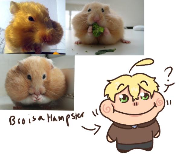 HES A HAMSTER ISWTG - ibisPaint
