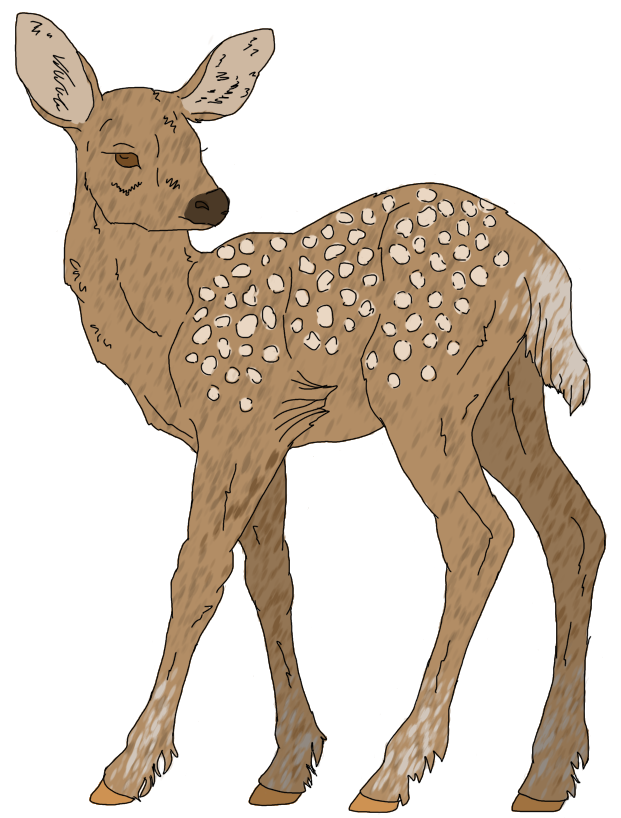 Silly deer - ibisPaint