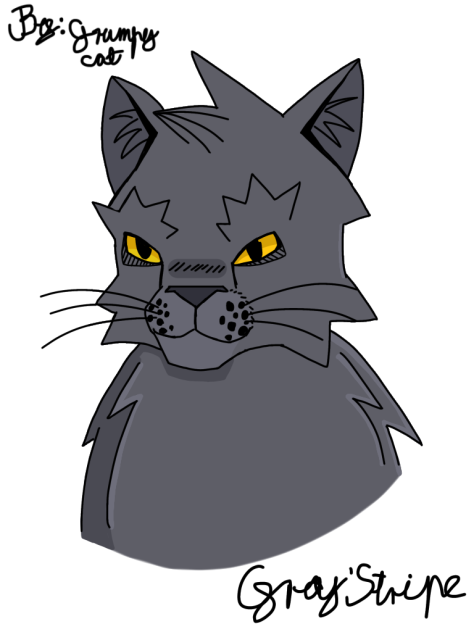 Graystripe - ibisPaint