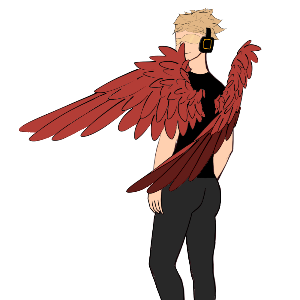Hawks - ibisPaint