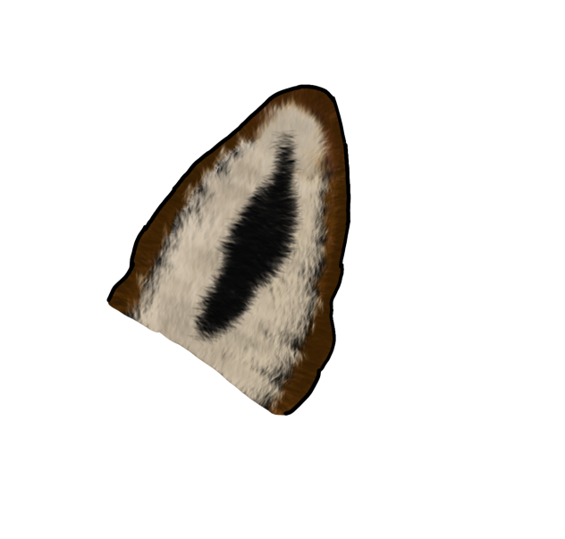 wolf ear - ibisPaint