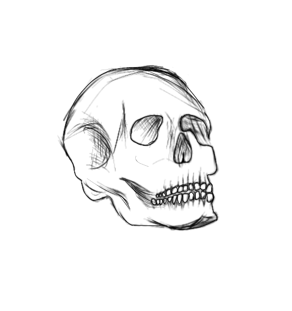 skull - ibisPaint