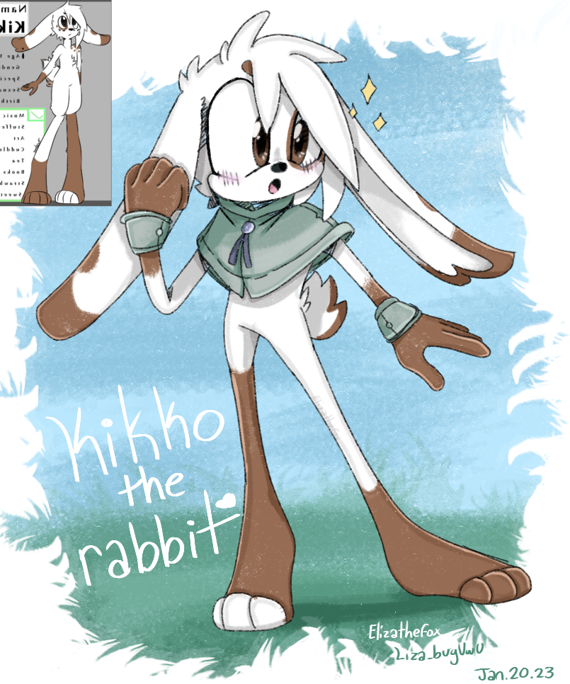 Kikko the rabbit - ibisPaint