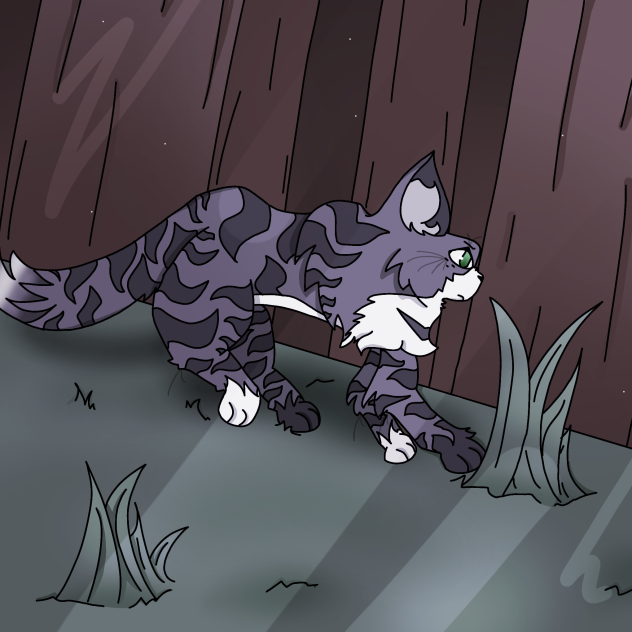 cat (gray) - ibisPaint