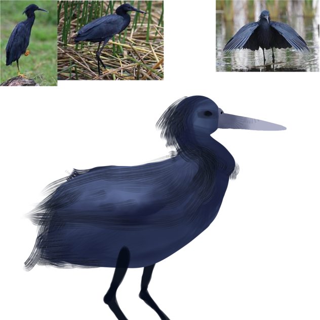 Black Heron - ibisPaint