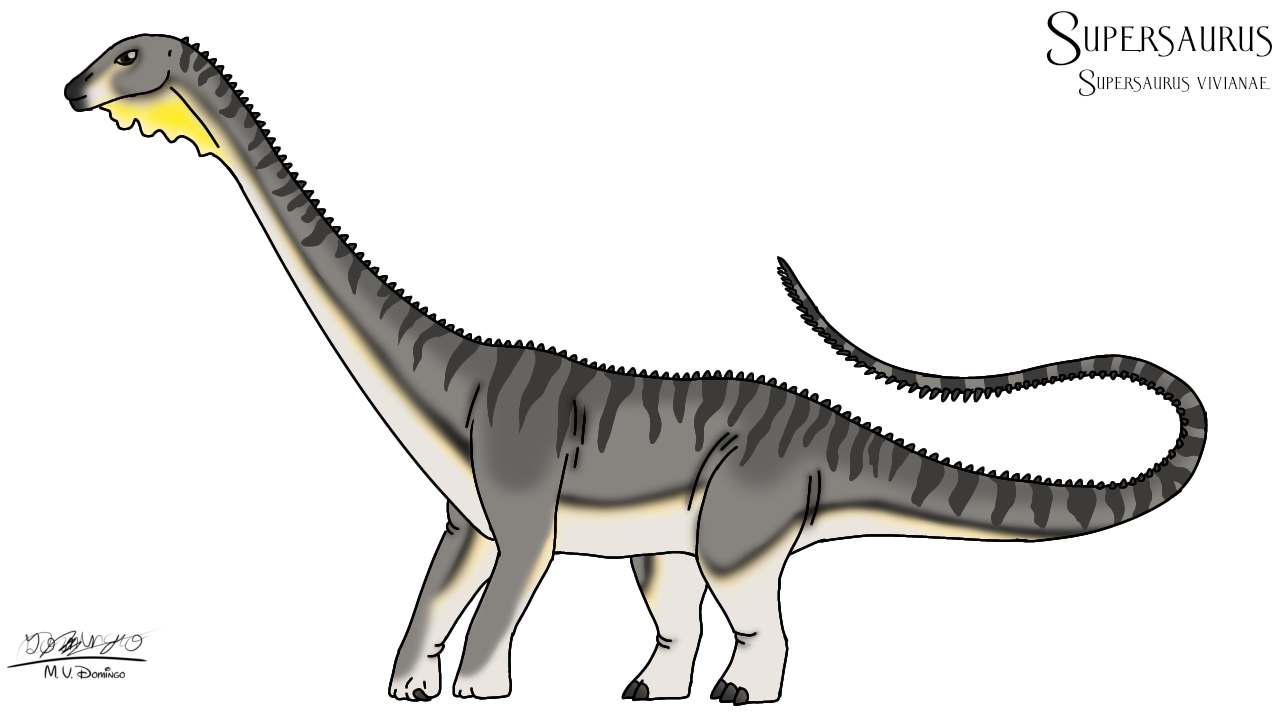 Supersaurus vivianae - ibisPaint