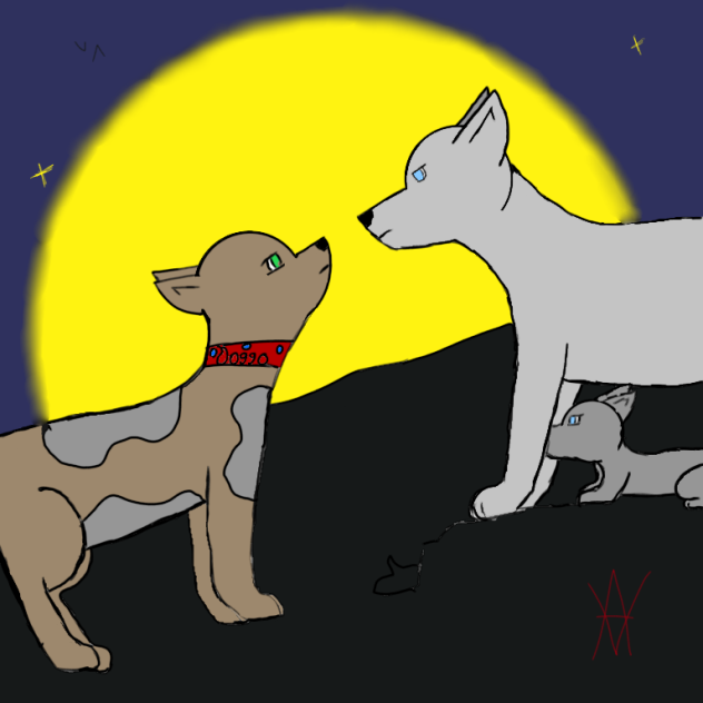 mama wolf - ibisPaint